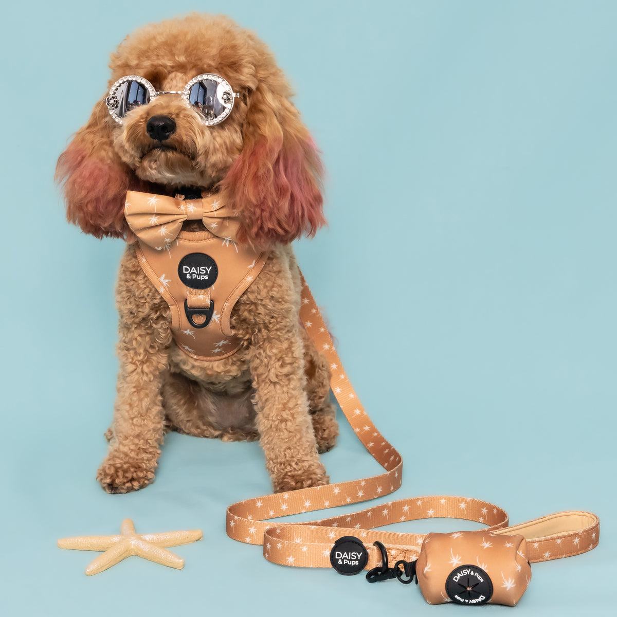 Another article | daisyandpups