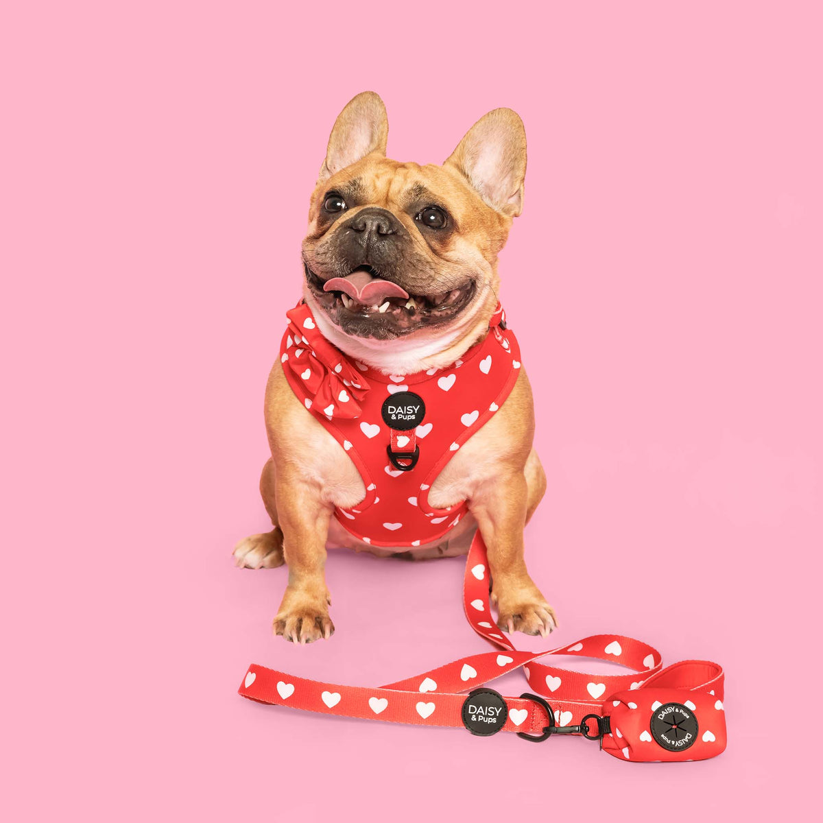Amore - Dog Leash | daisyandpups