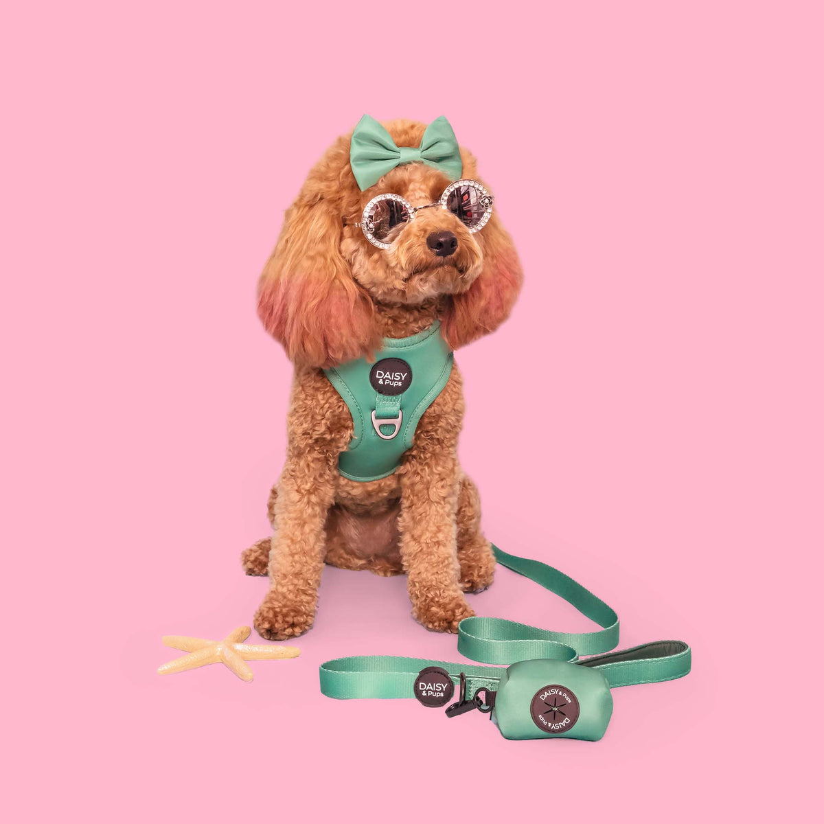 Baby Green - Dog Accessory Set | daisyandpups