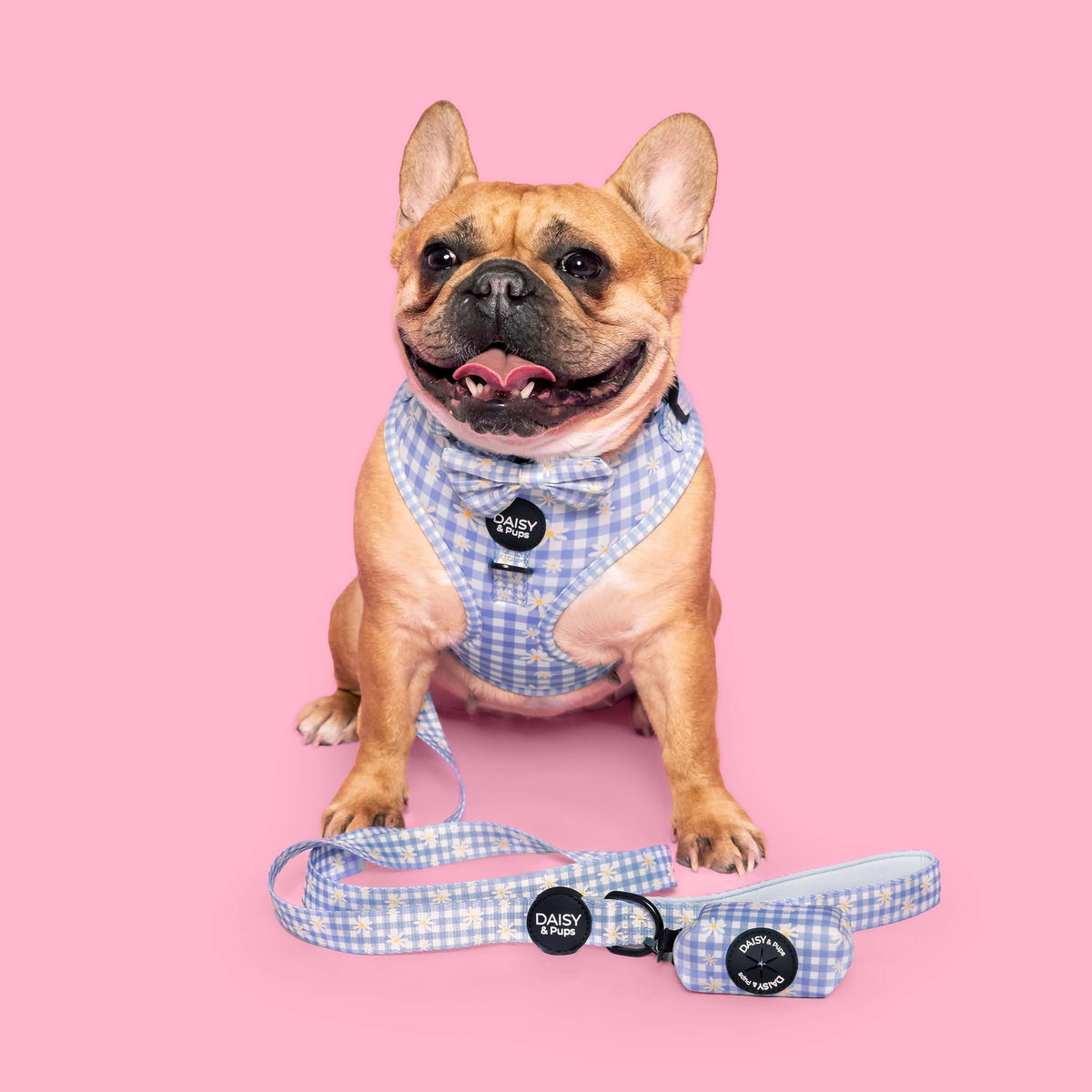 Blue Daisy - Dog Accessory Set | daisyandpups