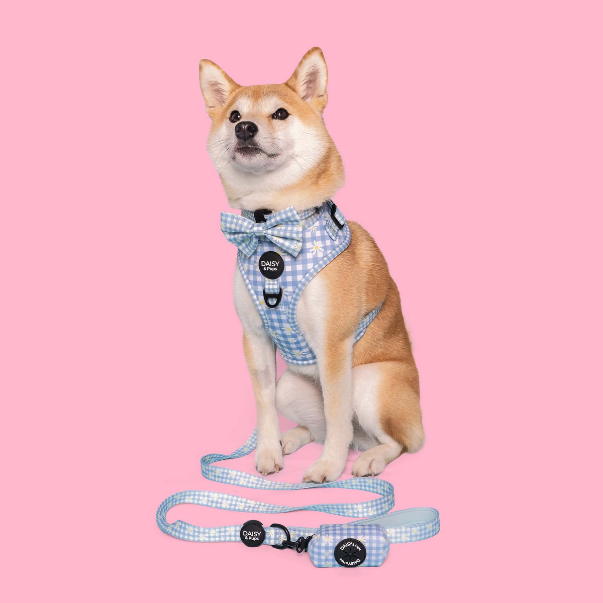 Blue Daisy - Dog Leash | daisyandpups