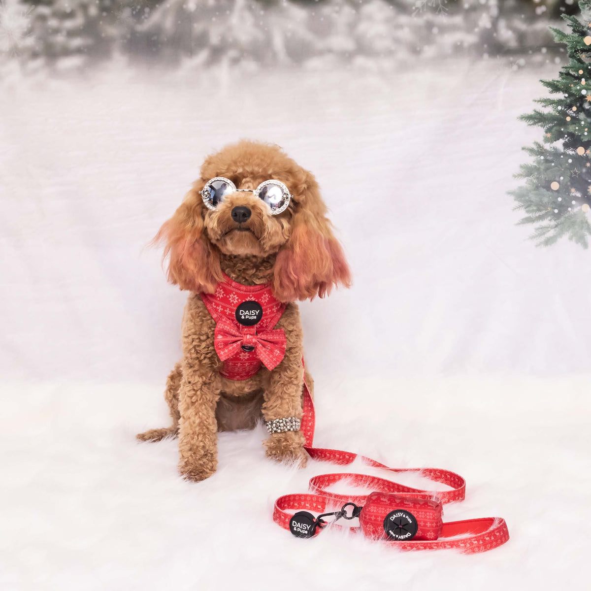 Christmas Knitting - Dog Accessory Set | daisyandpups