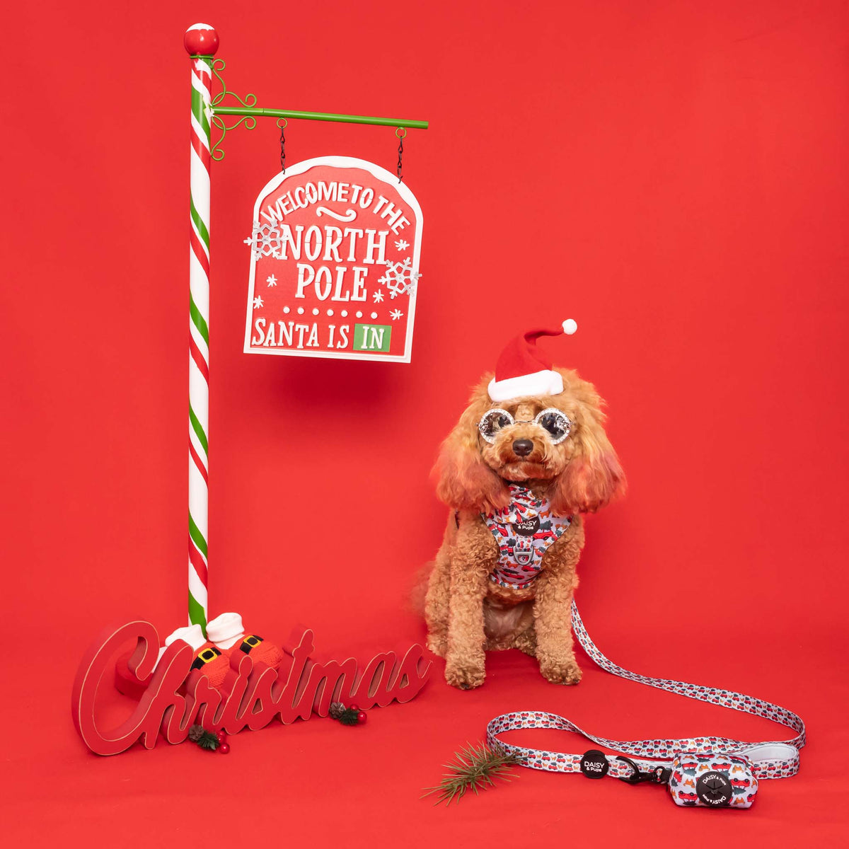 Christmas Ride - Dog Accessory Set | daisyandpups