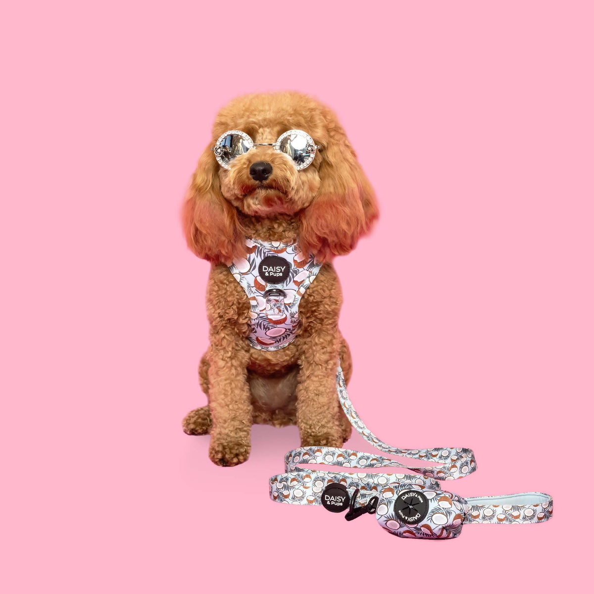 Coco Island - Dog Leash | daisyandpups