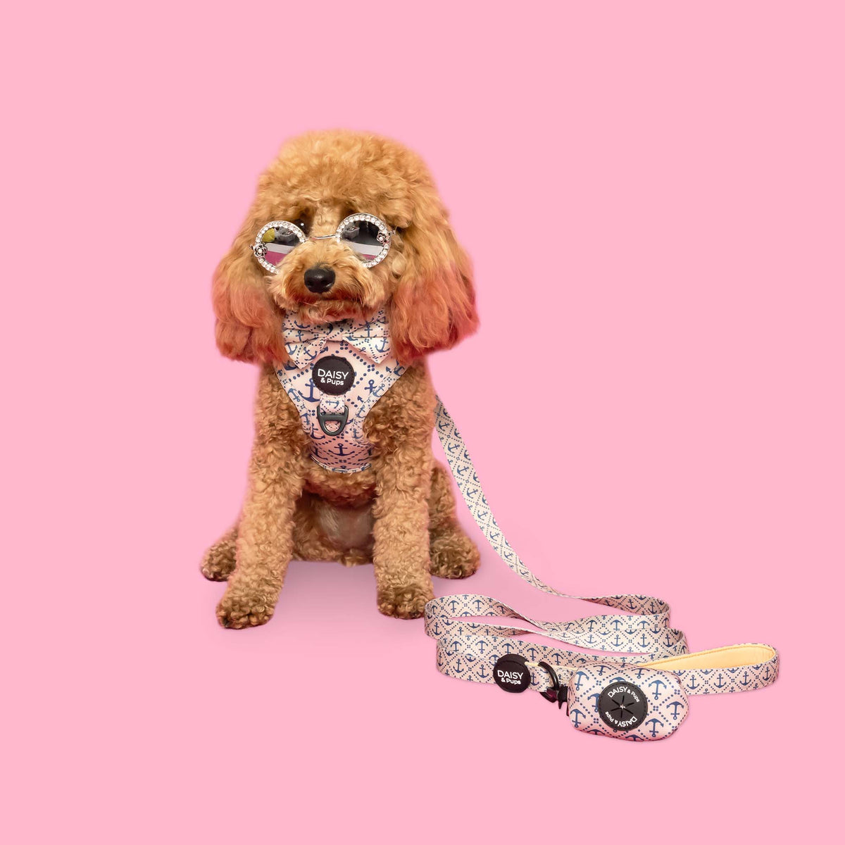 Marine - Dog Leash | daisyandpups