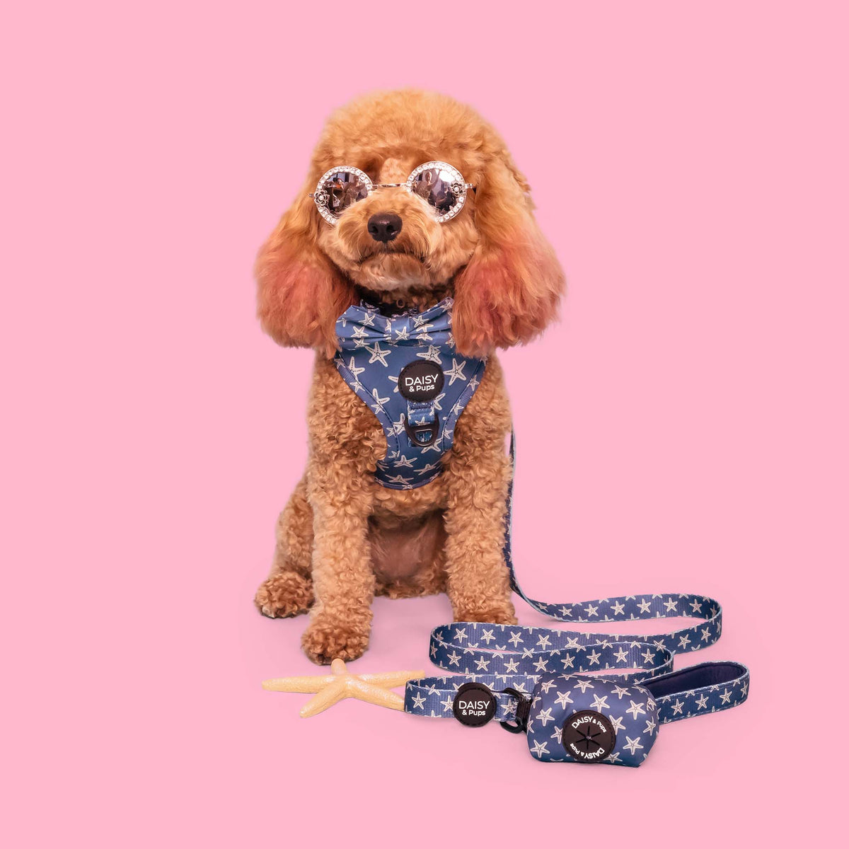 Ocean - Dog Leash | daisyandpups