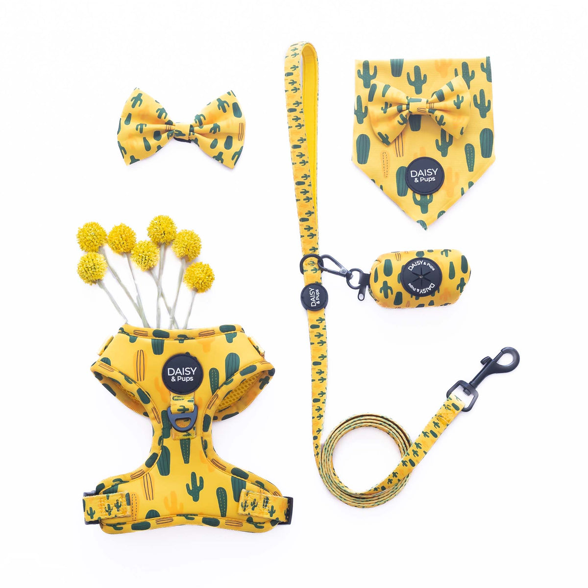 Summer Cactus - Dog Accessory Set | daisyandpups
