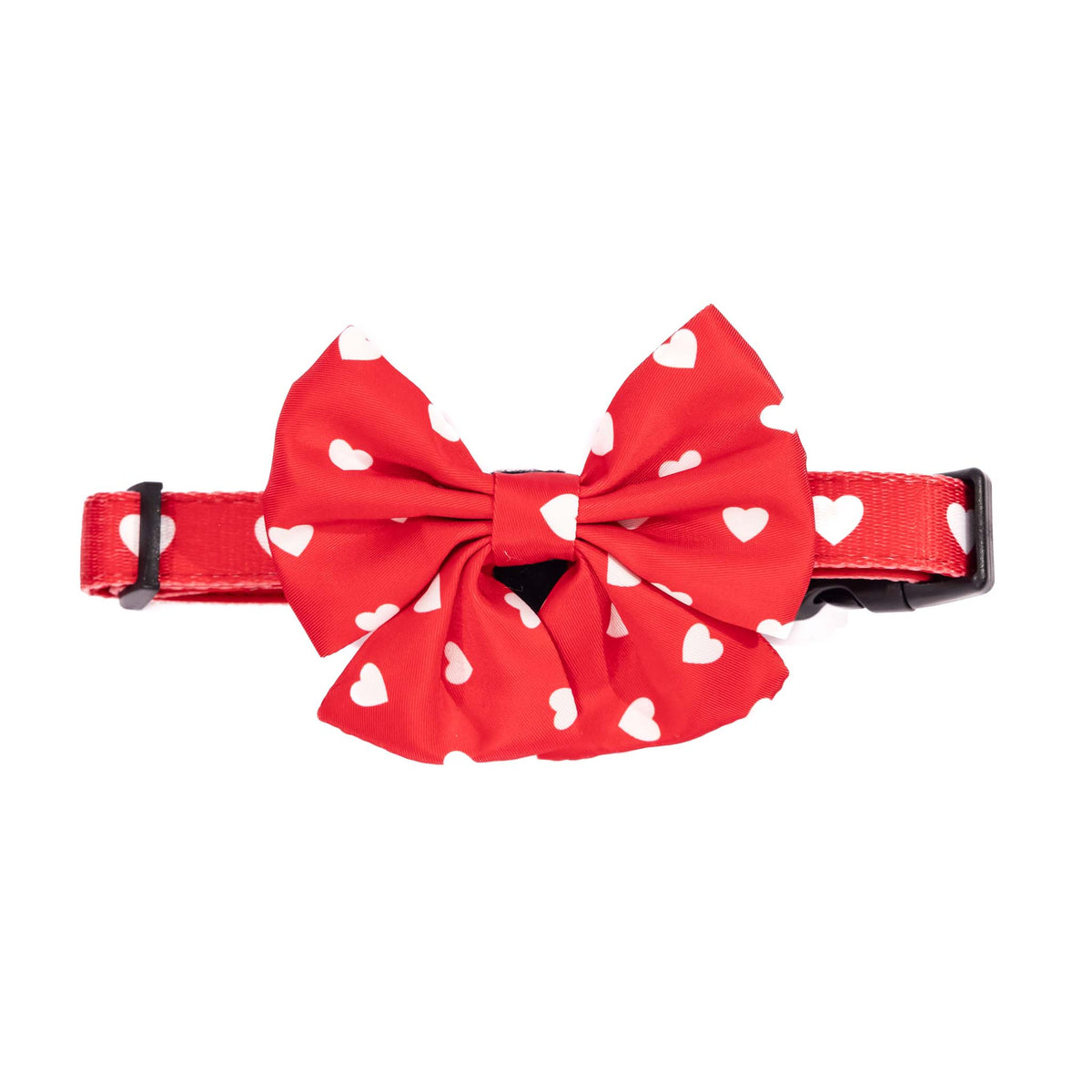 Amore - Dog Bowtie | daisyandpups
