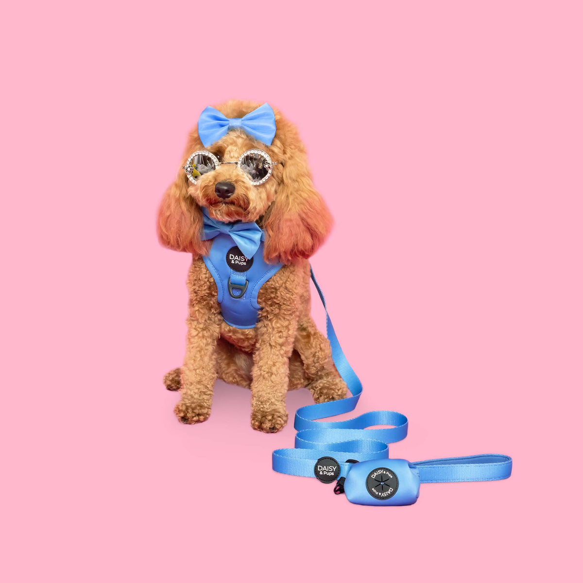 Baby Blue - Dog Leash | daisyandpups