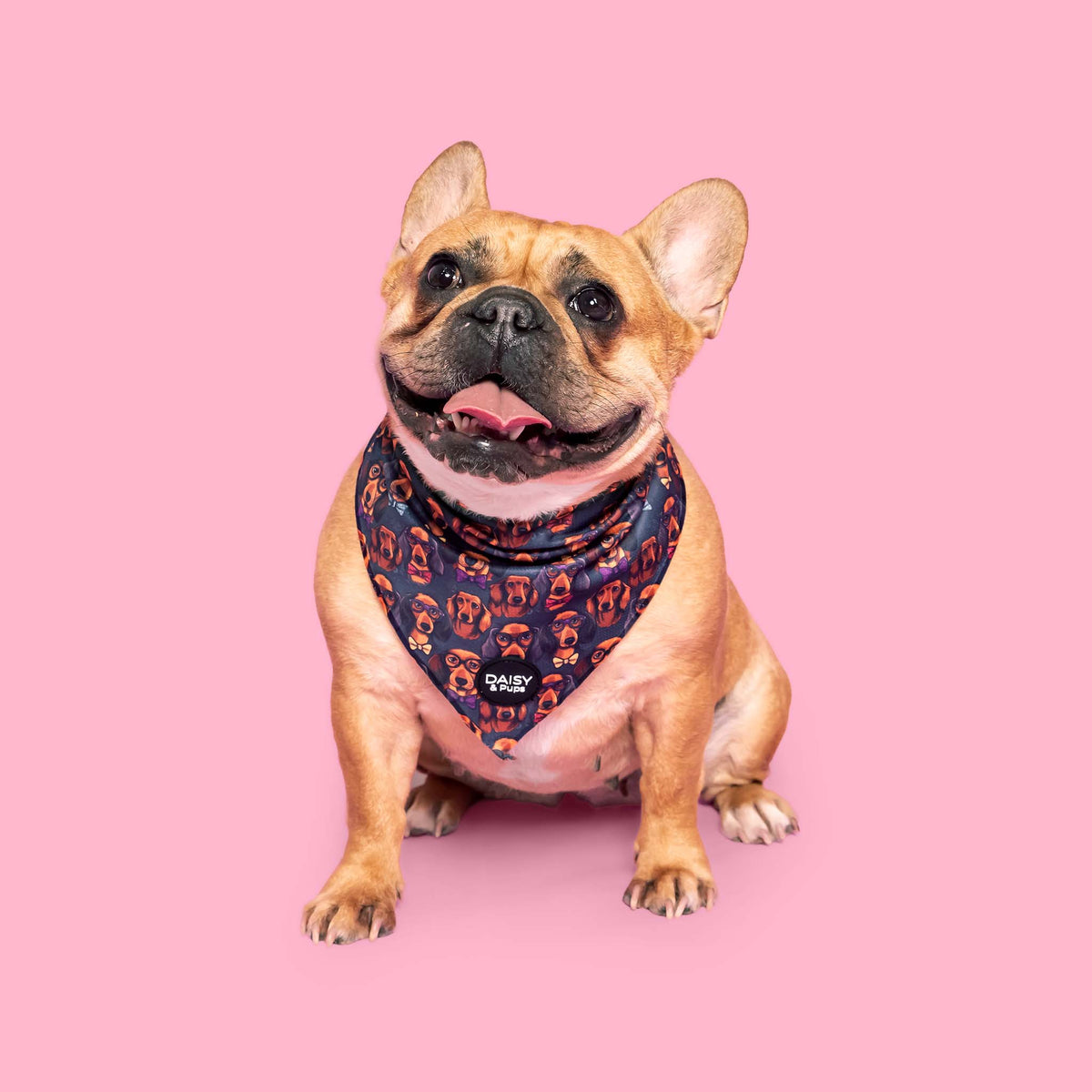 Distinguished Pup - Dog Bandana | daisyandpups