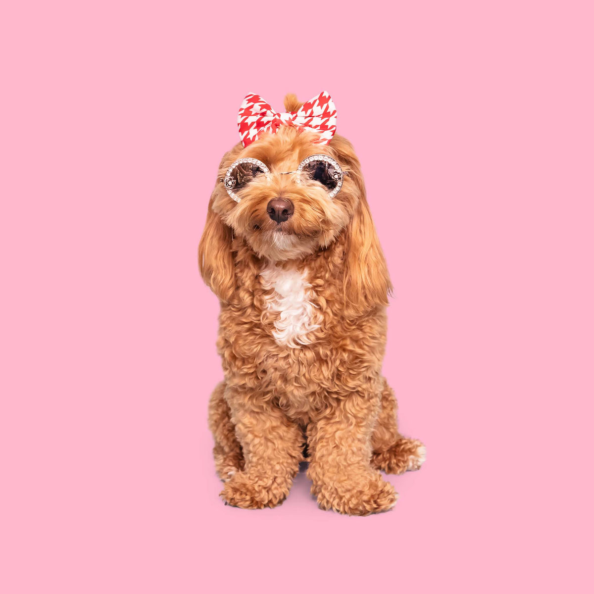 Red Houndstooth - Dog Hair Bow Clip | daisyandpups