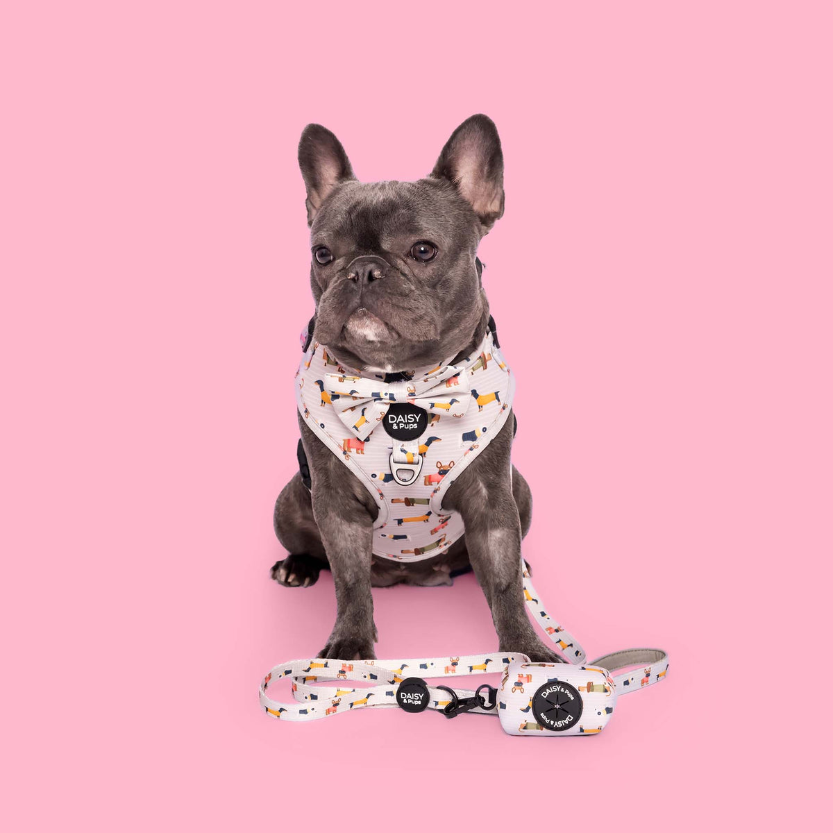 Stylish Pup - Dog Accessory Set | daisyandpups